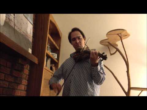 Darktown Strutter's Ball - Fiddle Tune a Day - Day 114 - Vi Wickam