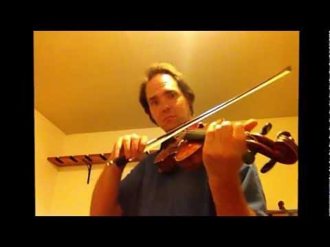 Star of the County Down - Fiddle Tune a Day - Day 242 - Vi Wickam